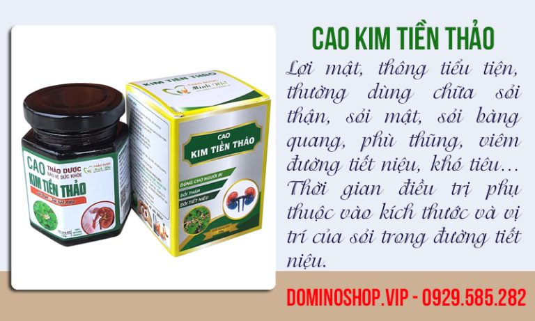 Sự thật về cây kim tiền thảo chữa bệnh sỏi thận